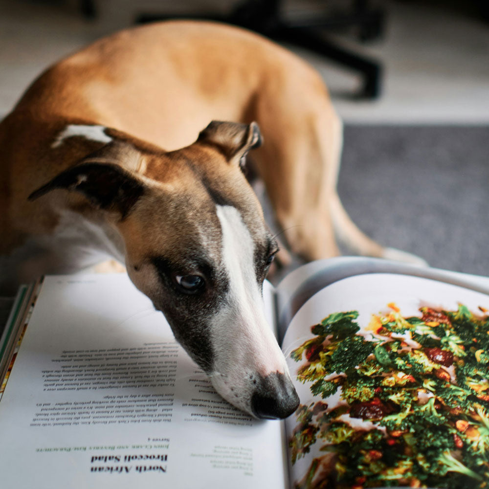 Dog Meal Prepping : A Complete Guide to Healthy, Time-Saving Homemade ...