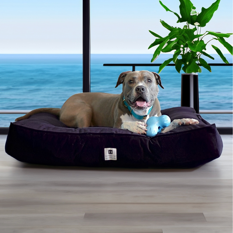 Ali Jewel® Ortho Square Companion-Pedic® - Animals Matter, Inc.