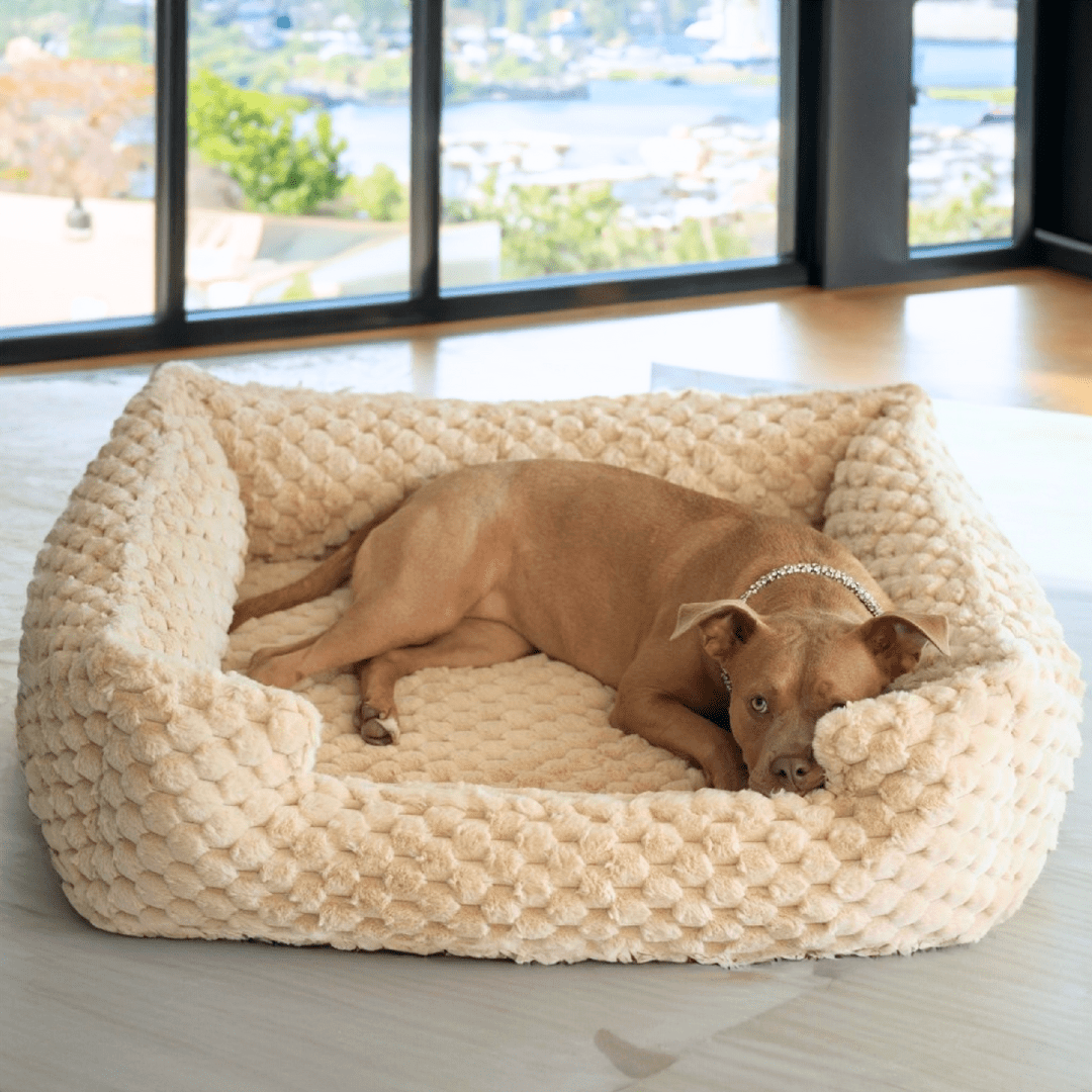 Katie Puff Encore Companion-Pedic® Ortho Lounger Luxury Dog Bed ...
