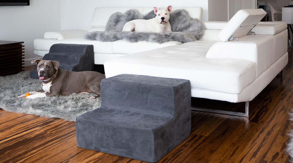 Animals Matter Reviews – Animals Matter, Inc.