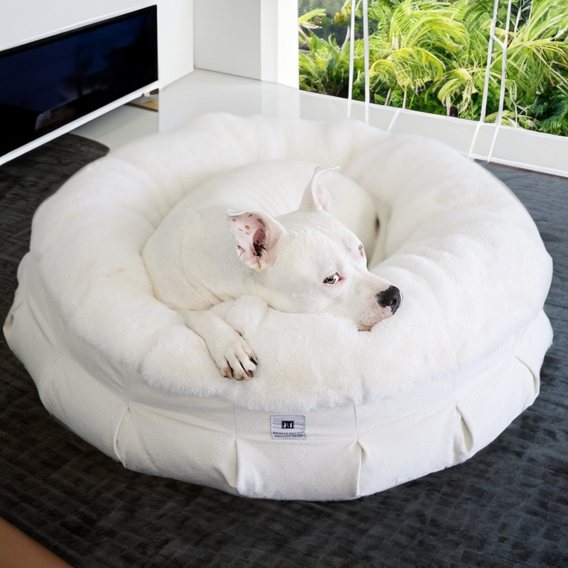 Ruby Puff® Ortho Companion-Pedic® Luxury Dog Bed - Animals Matter, Inc.