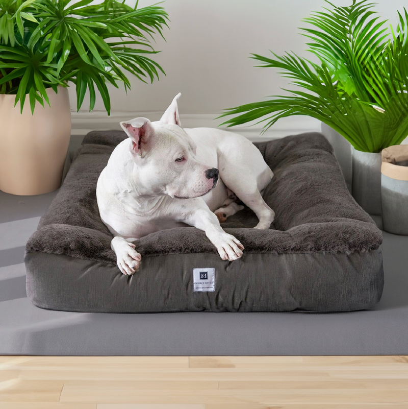 Ruby Puff™ Square Companion-Pedic® Luxury Faux Fur Dog Bed - Animals ...