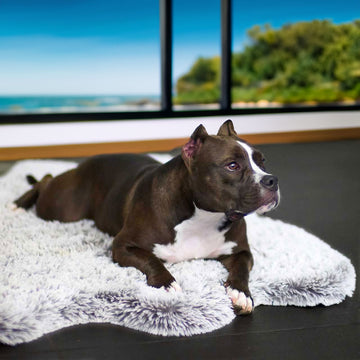 Faux Fur Ortho Snug Rug™Companion-Pedic® Luxury Dog Bed – Animals ...