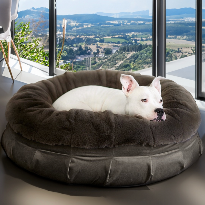 Ruby Puff® Ortho Companion-Pedic® Luxury Dog Bed - Animals Matter, Inc.