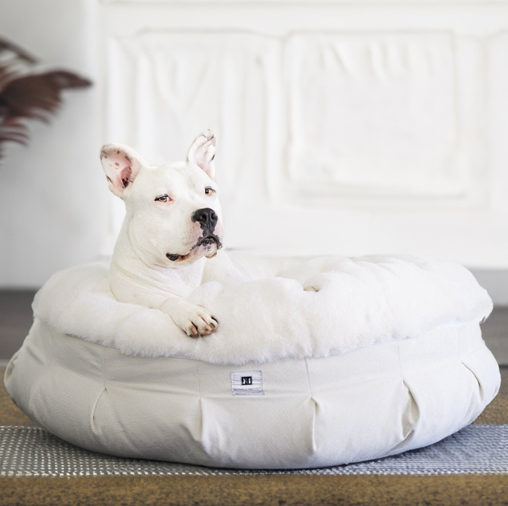 Ruby Puff® Ortho Companion-Pedic® Luxury Dog Bed - Animals Matter, Inc.