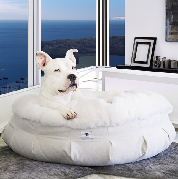 Ruby Puff® Ortho Companion-Pedic® Luxury Dog Bed - Animals Matter, Inc.