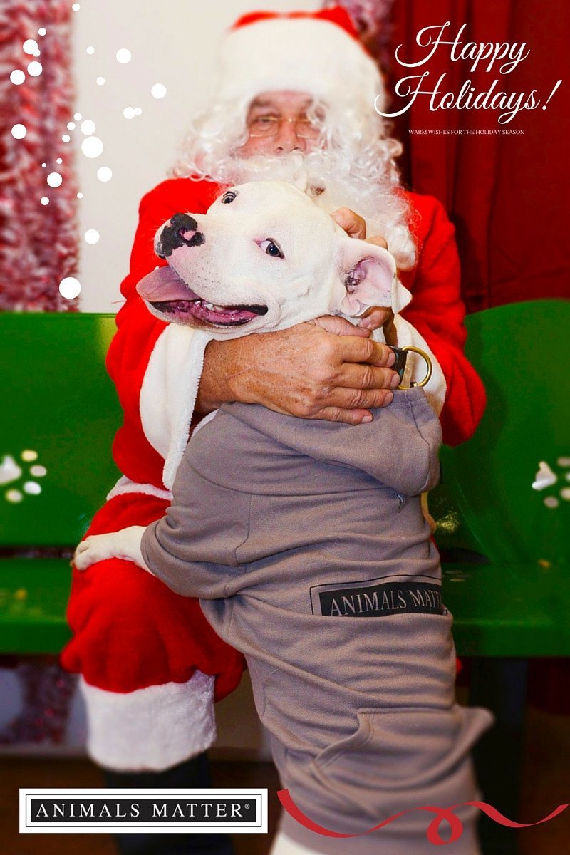 Animals Matter Apparel - Animals Matter, Inc.