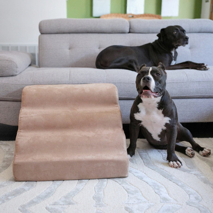 Dog Stairs | Pet Ramps & Steps for Beds – Animals Matter, Inc.