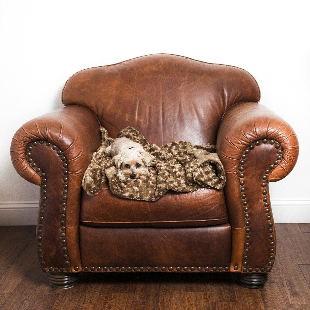 Animals Matter Katie Puff Blanket - Animals Matter, Inc.