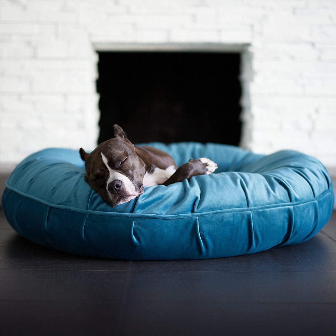 L.A. Dog Company® Ali Donut - Animals Matter, Inc.